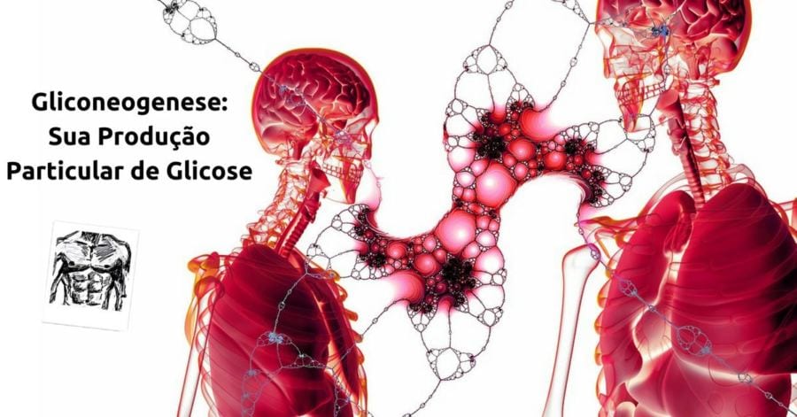 Gliconeogênese: O Que É E Qual Sua Importância Na Saúde Humana