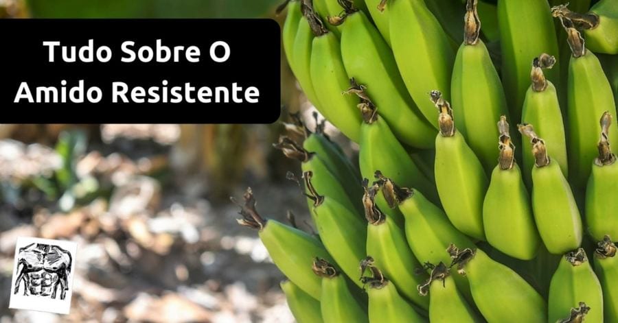 Amido Resistente Emagrece? Saiba Toda A Verdade Sobre Esse Carboidrato