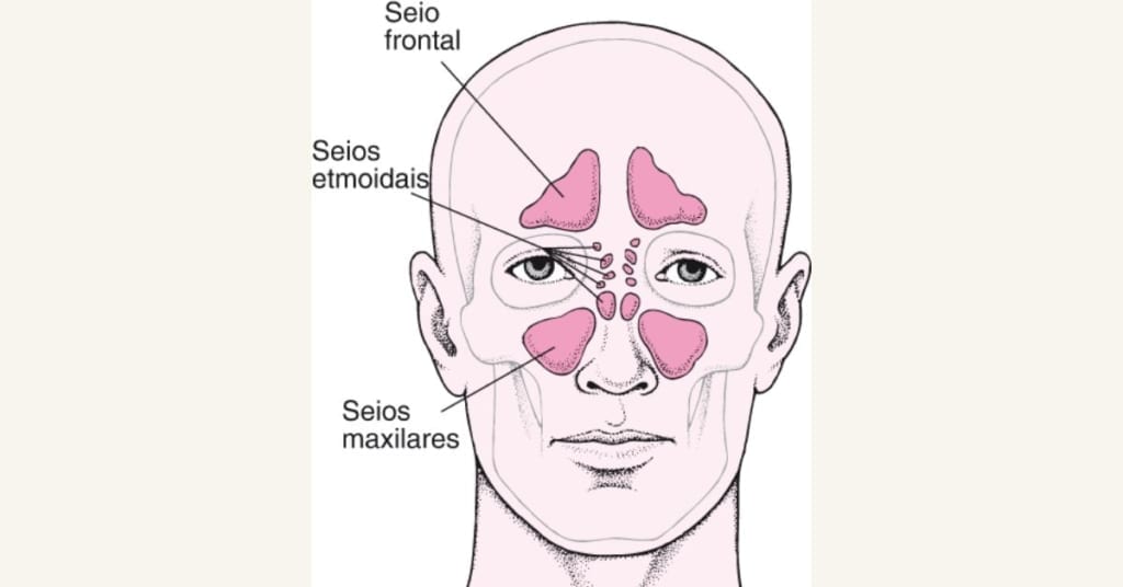 Rinite E Sinusite: Como Melhorar Sua Respiração Com A Alimentação