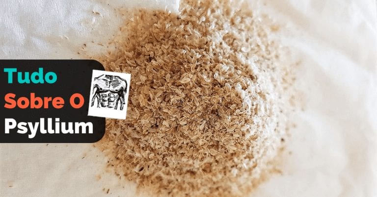 Psyllium: O Que É, Para Que Serve, E Como Usar Corretamente